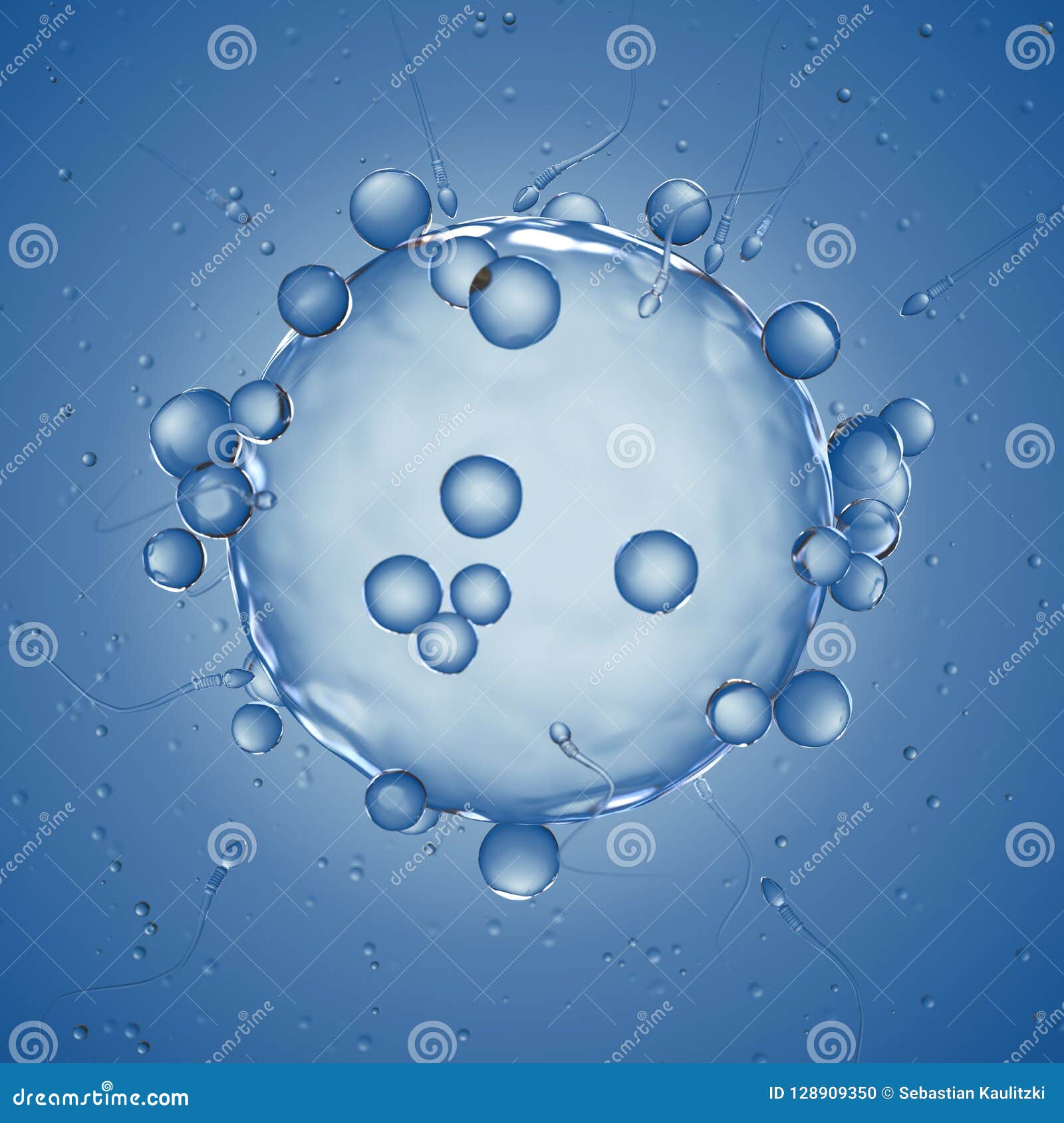 A human egg cell stock illustration. Illustration of rendered - 128909350