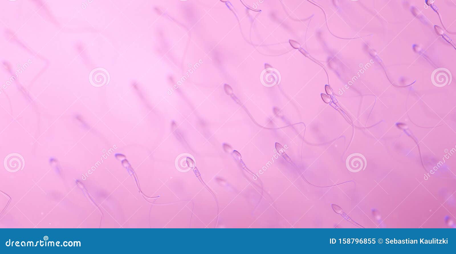 Human sperm stock illustration. Illustration of research - 158796855