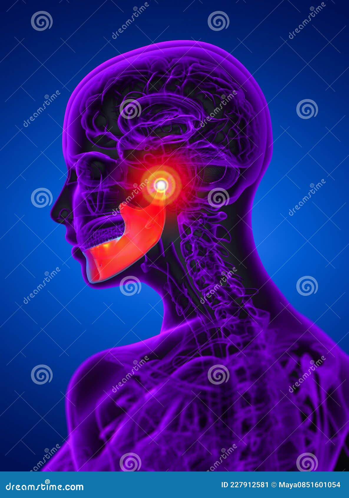 3d Rendered Illustration - Jaw Bone Stock Illustration - Illustration ...