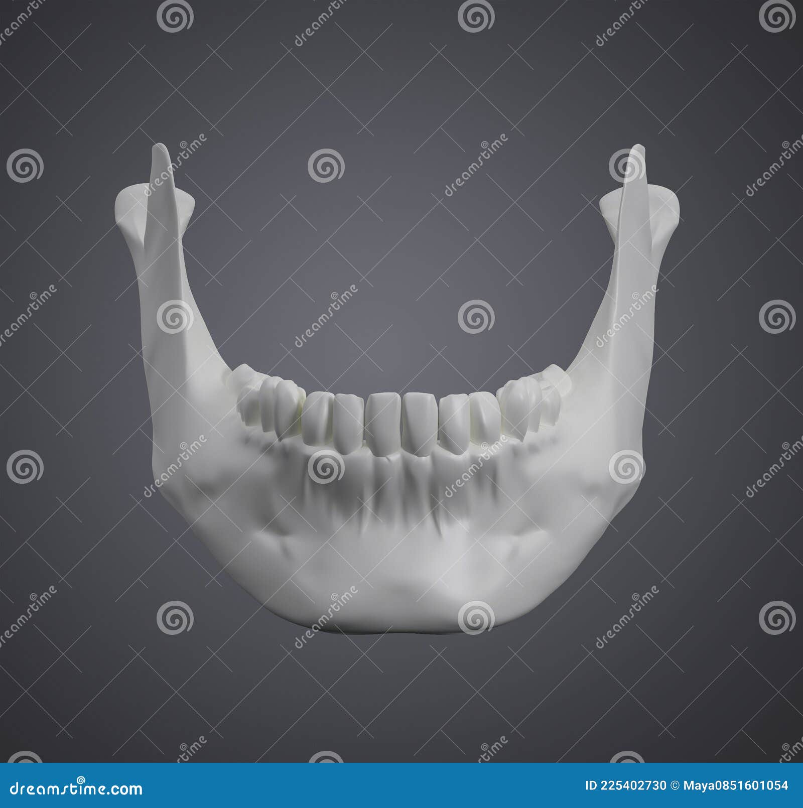 3D Rendering Illustration of Jaw Bone Stock Illustration - Illustration ...
