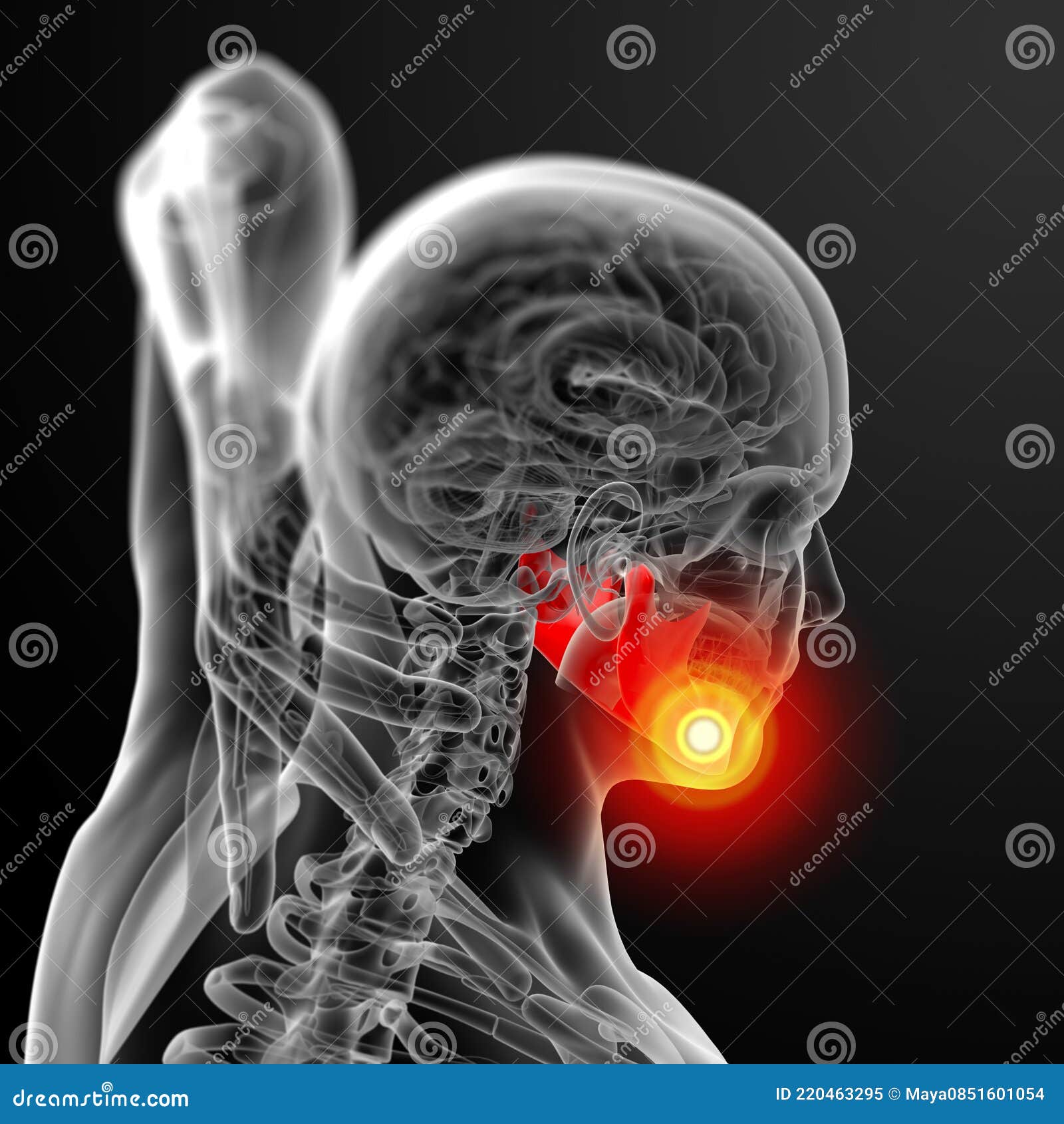 3d Rendered Illustration of Jaw Bone Stock Illustration - Illustration ...