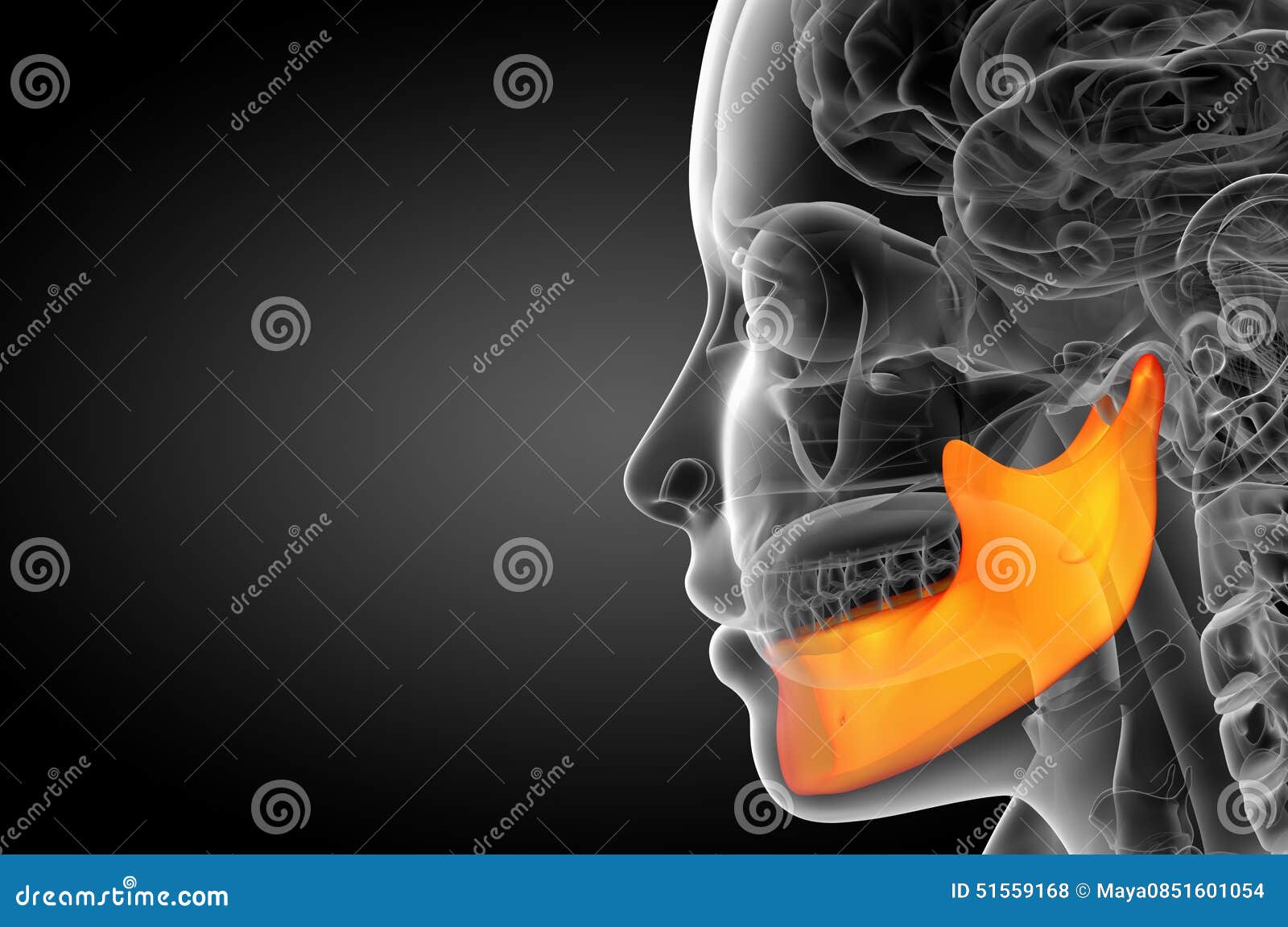 3d Rendered Illustration - Jaw Bone Stock Illustration - Illustration ...