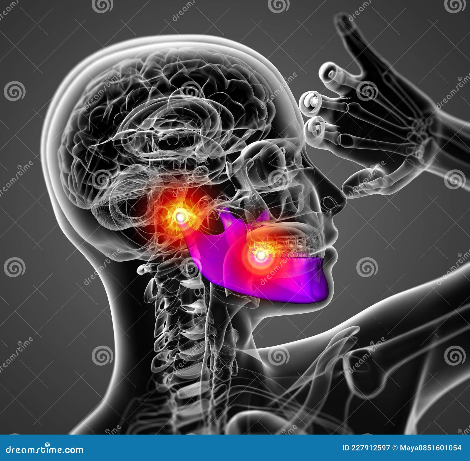 3d Rendered Illustration - Jaw Bone Stock Illustration - Illustration ...