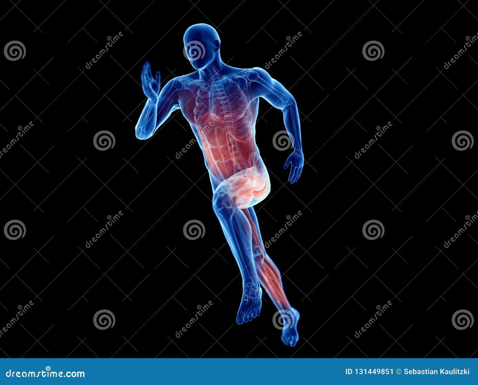 A joggers muscles stock illustration. Illustration of exercise - 131449851