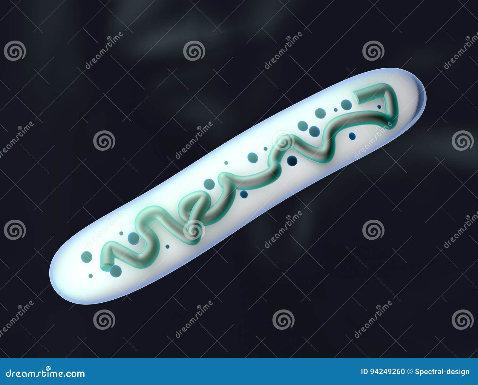 3D Rendered Illustration of a Lactobacillus Bacteria Stock Illustration ...