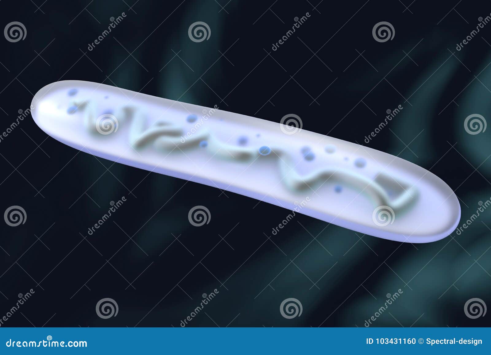 3D Rendered Illustration of a Lactobacillus Bacteria Stock Illustration ...