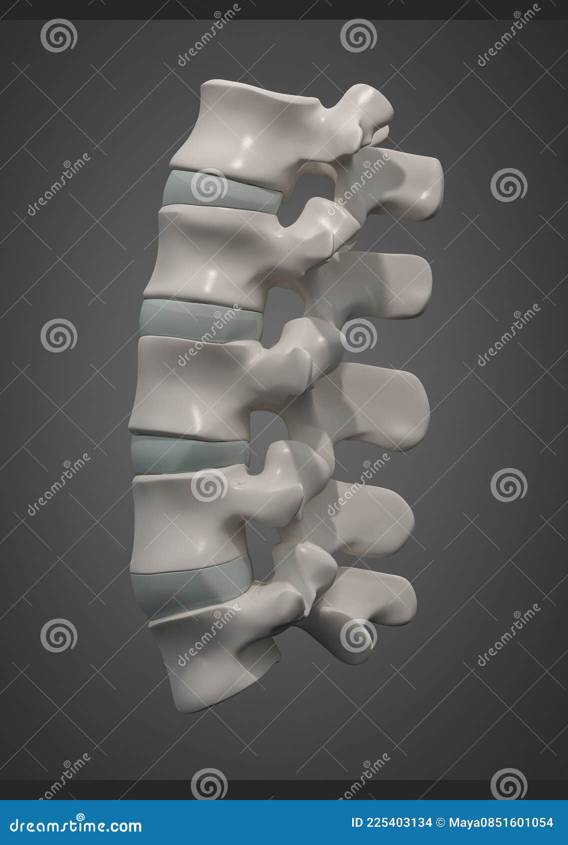 3D Rendering Illustration of Lumbar Stock Illustration - Illustration ...