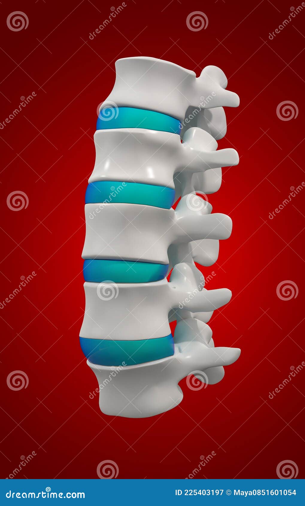 3D Rendering Illustration of Lumbar Stock Illustration - Illustration ...