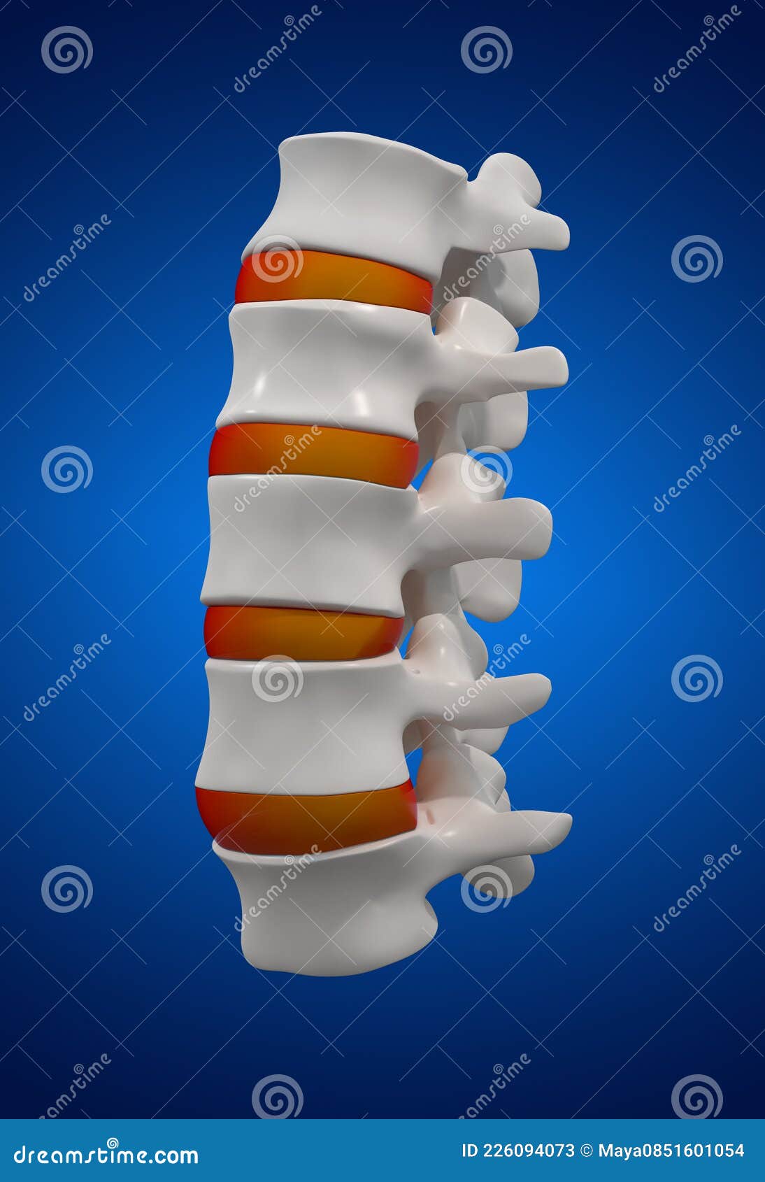 3D Rendering Illustration of Lumbar Stock Illustration - Illustration ...