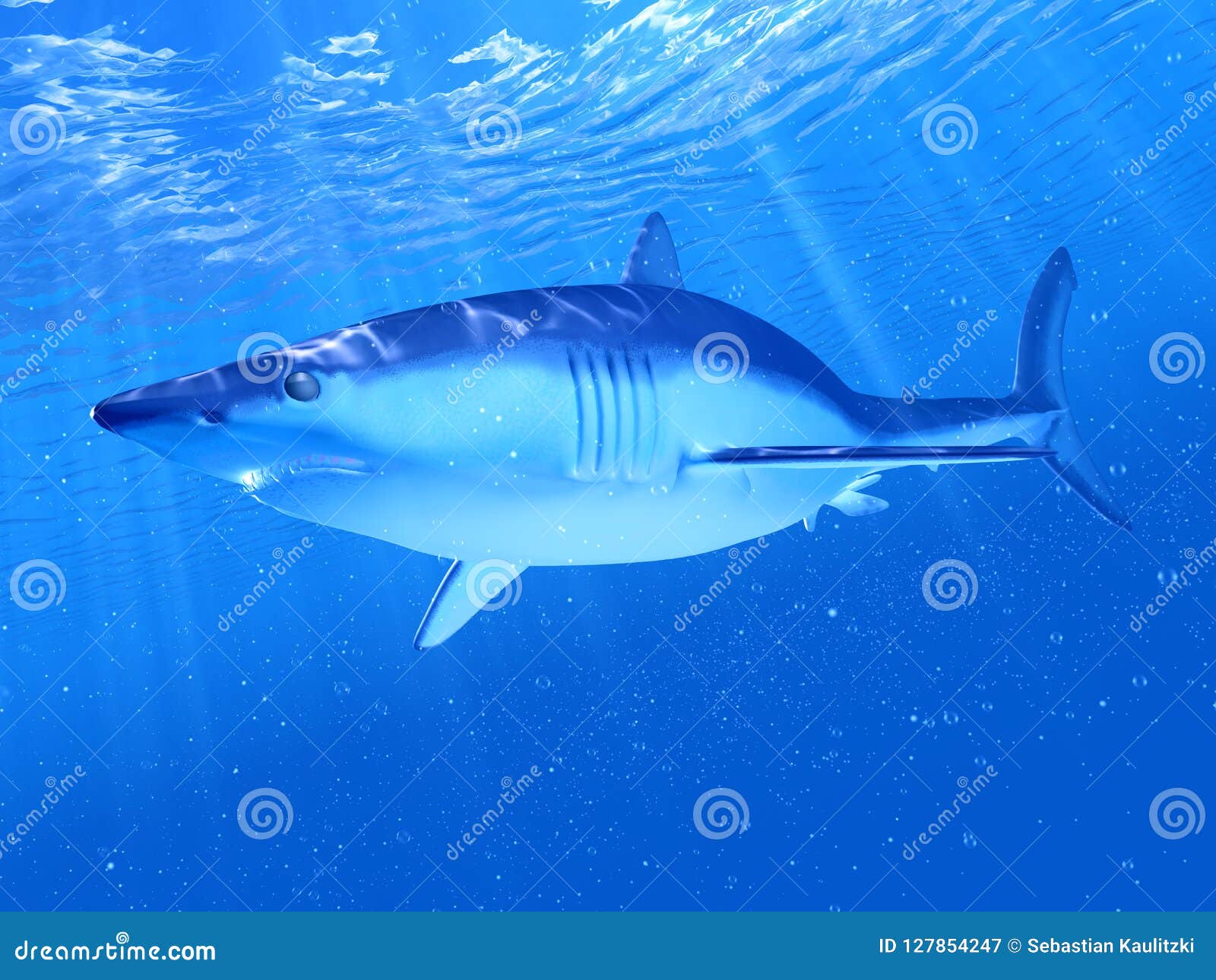 Mako Cartoons, Illustrations & Vector Stock Images - 186 Pictures to ...