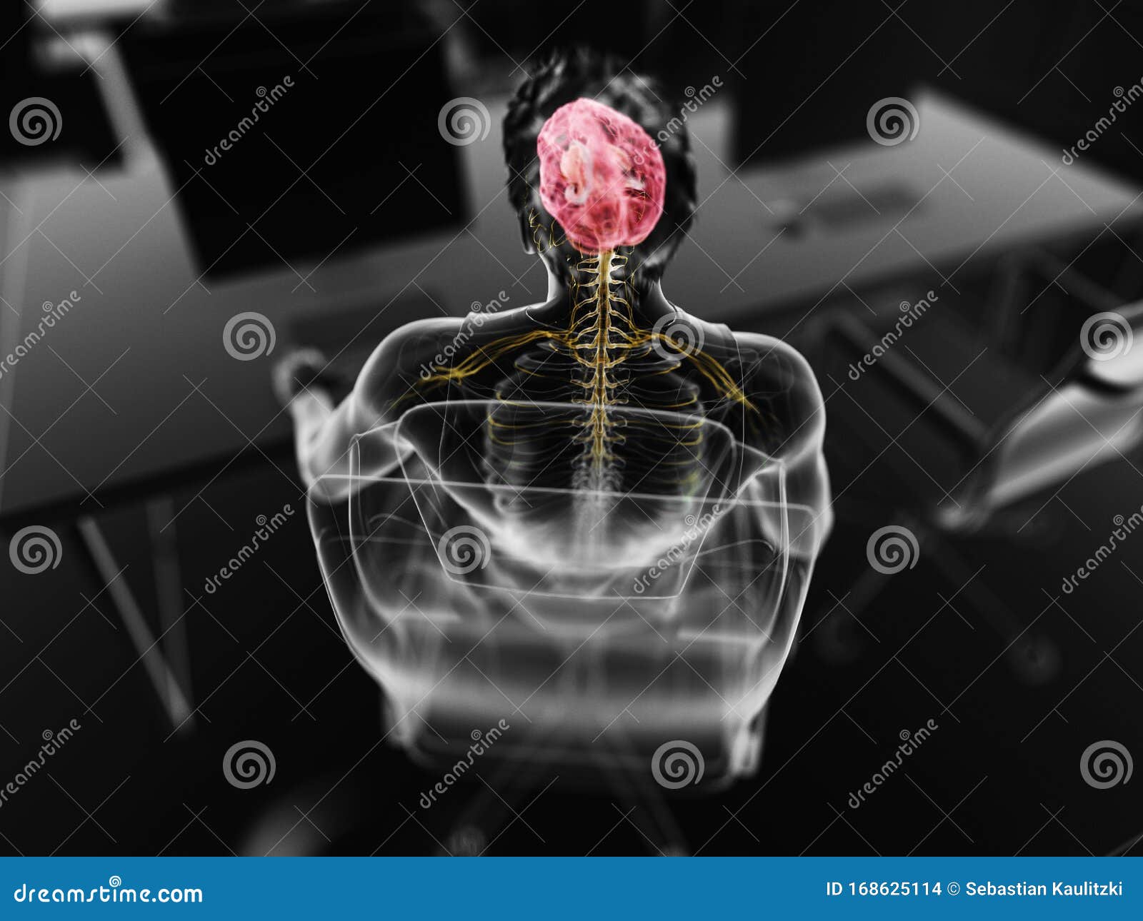 Visible brain and nerves stock illustration. Illustration of biology ...