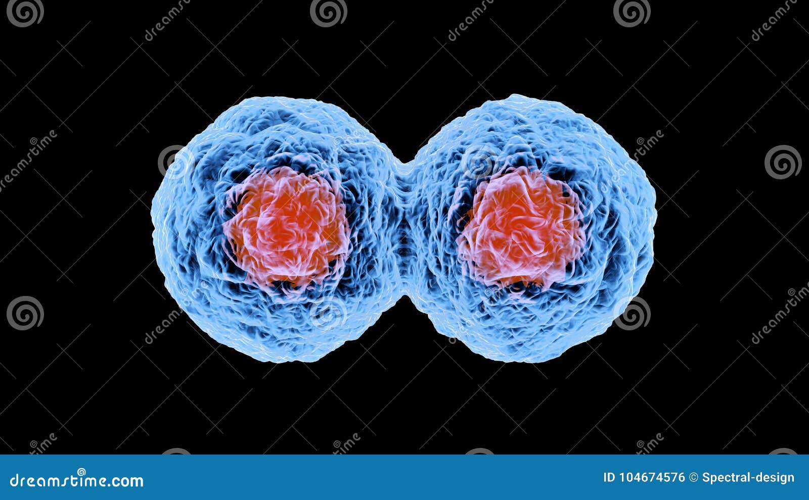 3D Rendered Illustration of Cell Replication Stock Illustration ...