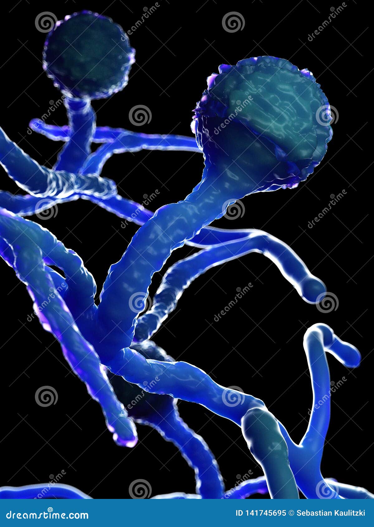 Mucor Cartoons, Illustrations & Vector Stock Images - 267 Pictures to ...