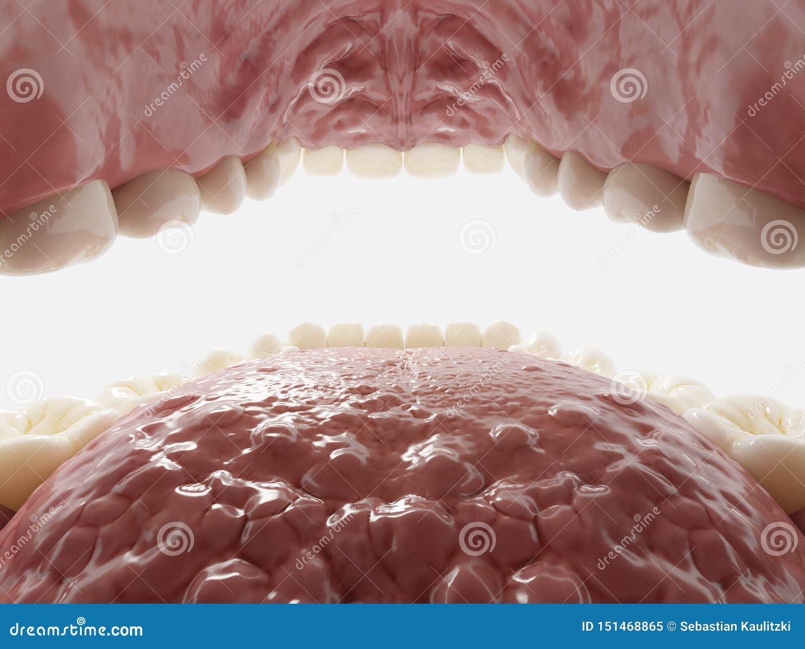The mouth stock illustration. Illustration of character - 151468865