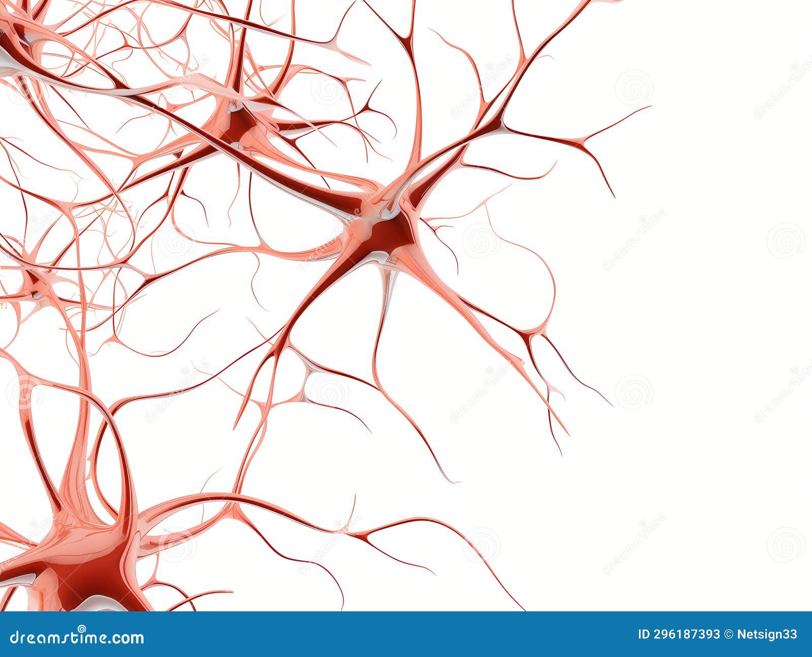 3d Rendered Illustration - Nerve Cell in Hand-drawn Style Stock ...
