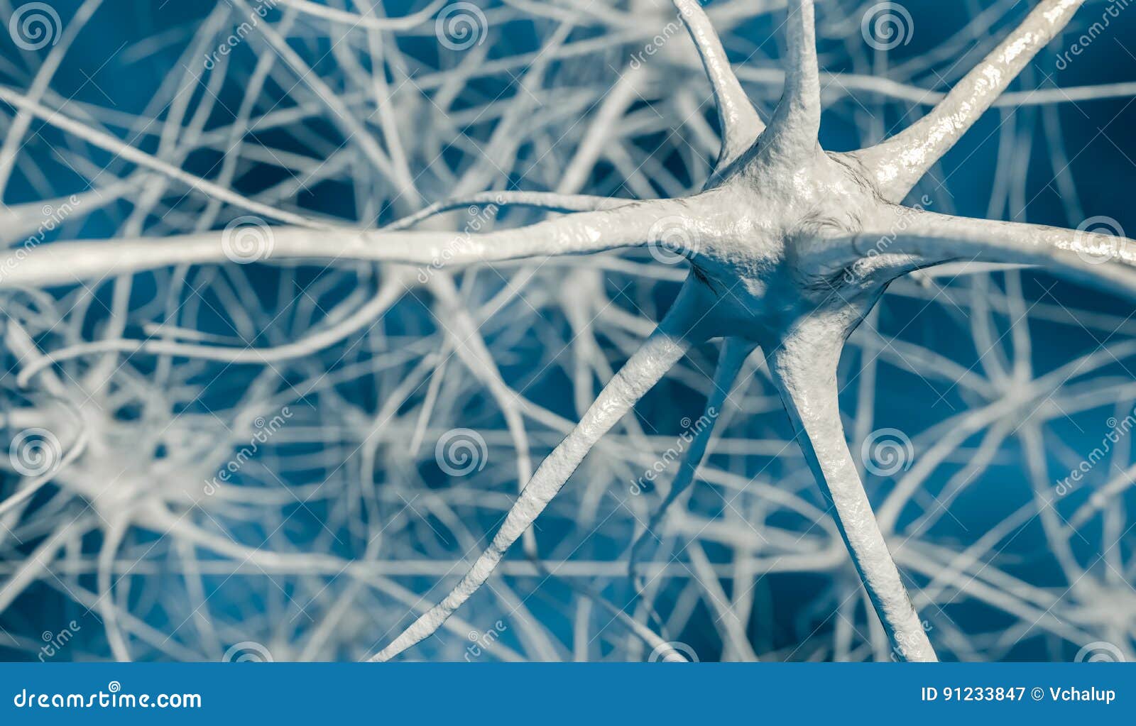 3D Rendered Illustration of Neurons in Brain Stock Illustration ... 3D Rendered Illustration of Neurons in Brain Stock Illustration ...