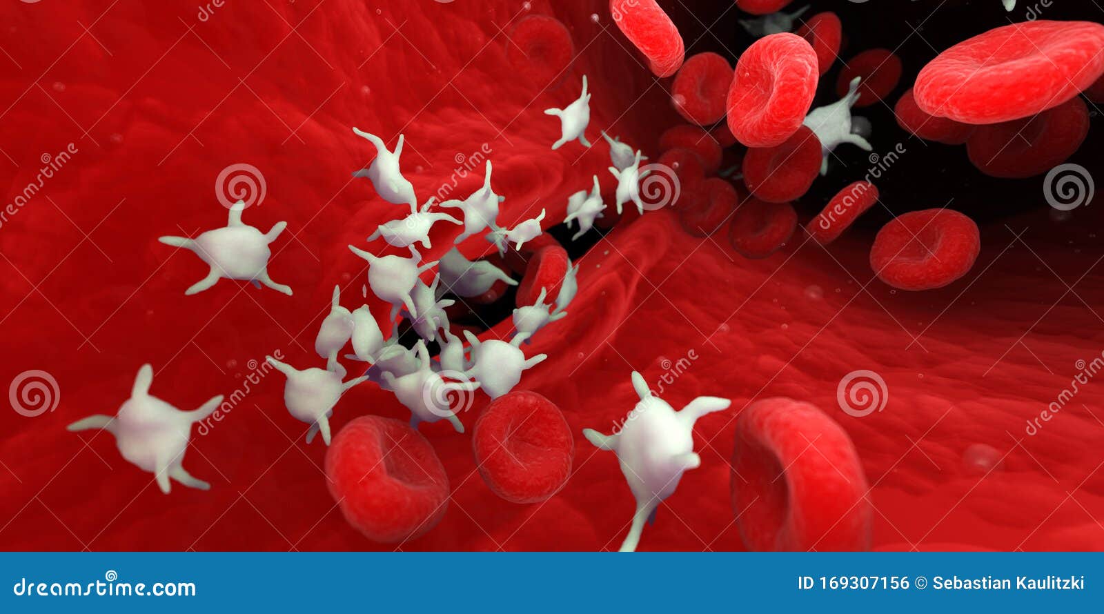 Platelets stock illustration. Illustration of blood - 169307156