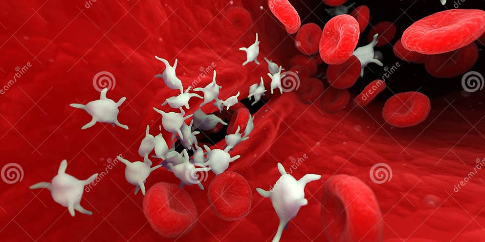 Platelets stock illustration. Illustration of blood - 169307156