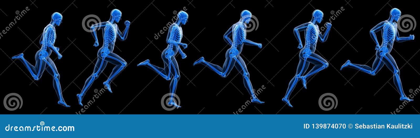 A running mans skeleton stock illustration. Illustration of health ...