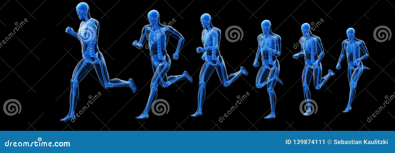 A running mans skeleton stock illustration. Illustration of back ...