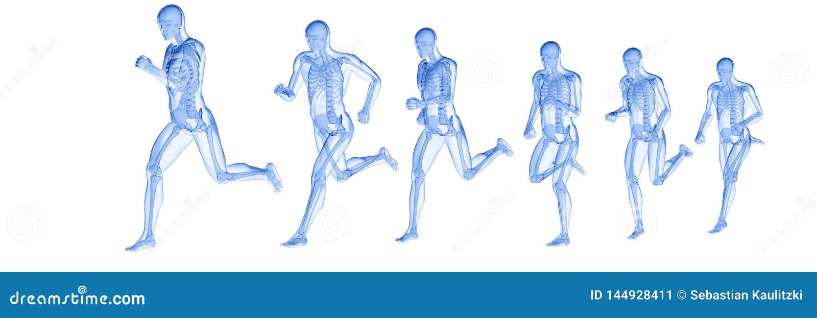 A running mans skeleton stock illustration. Illustration of discs ...