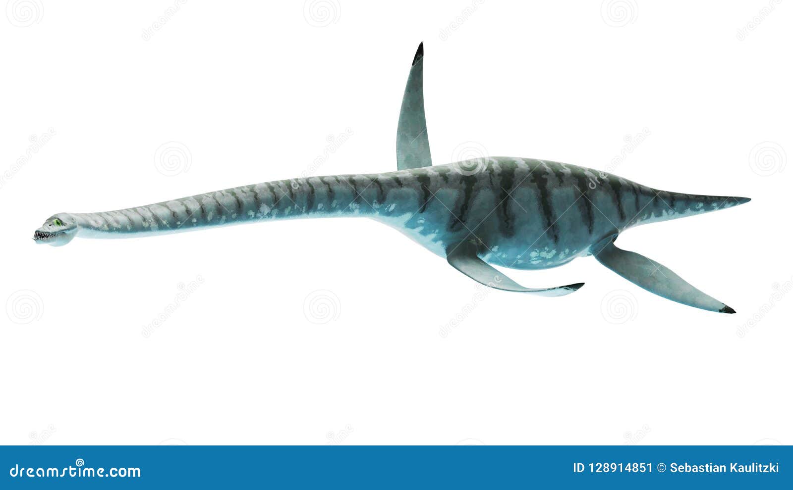 Styxosaurus stock illustration. Illustration of nature - 128914851