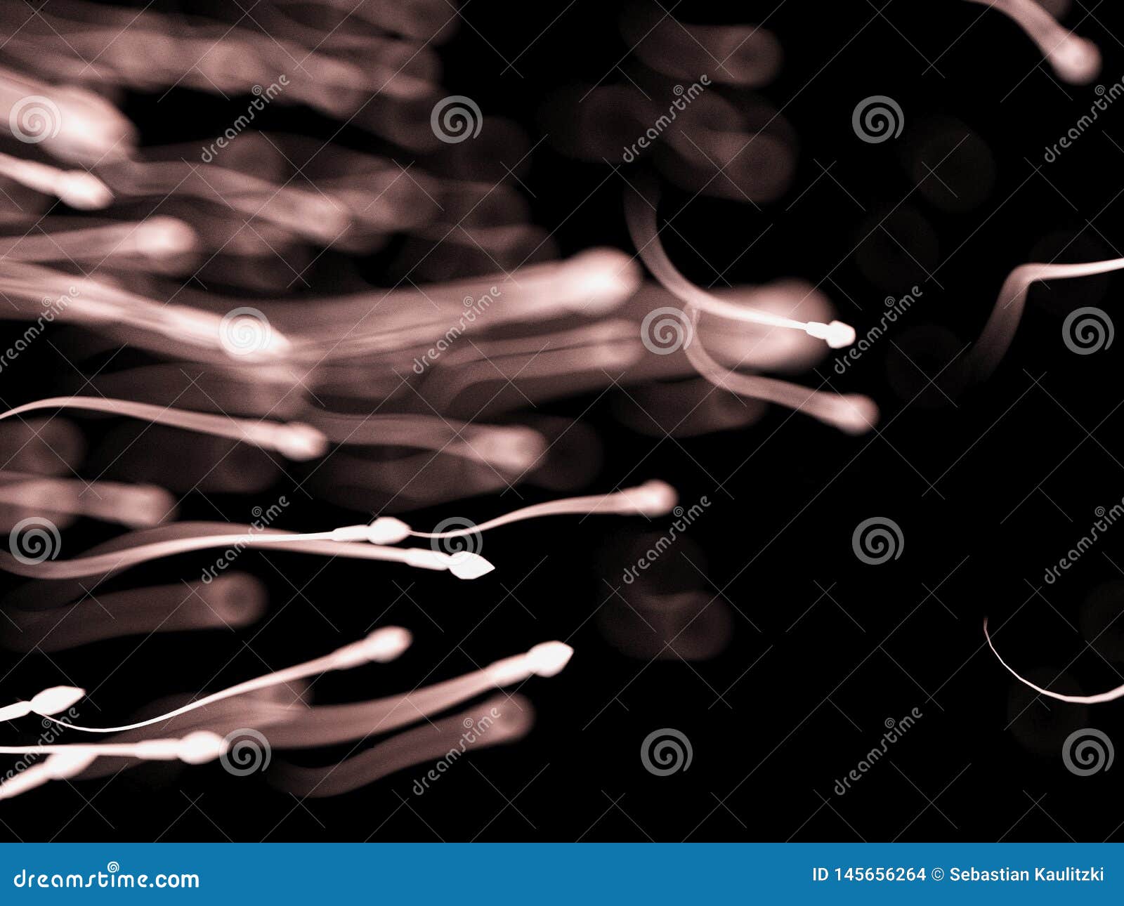 Human sperm stock illustration. Illustration of insemination - 145656264