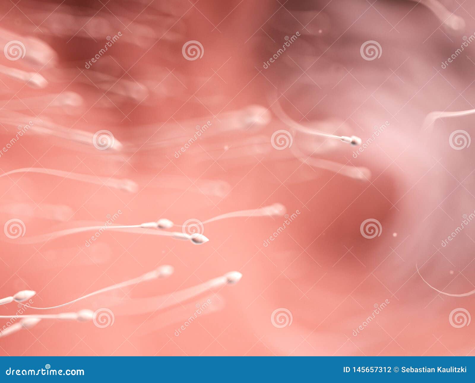 Human sperm stock illustration. Illustration of embryo - 145657312