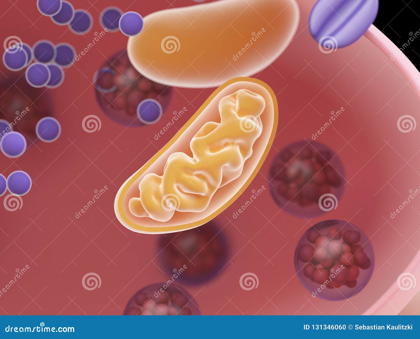 A synapse cross-section stock illustration. Illustration of brain ...
