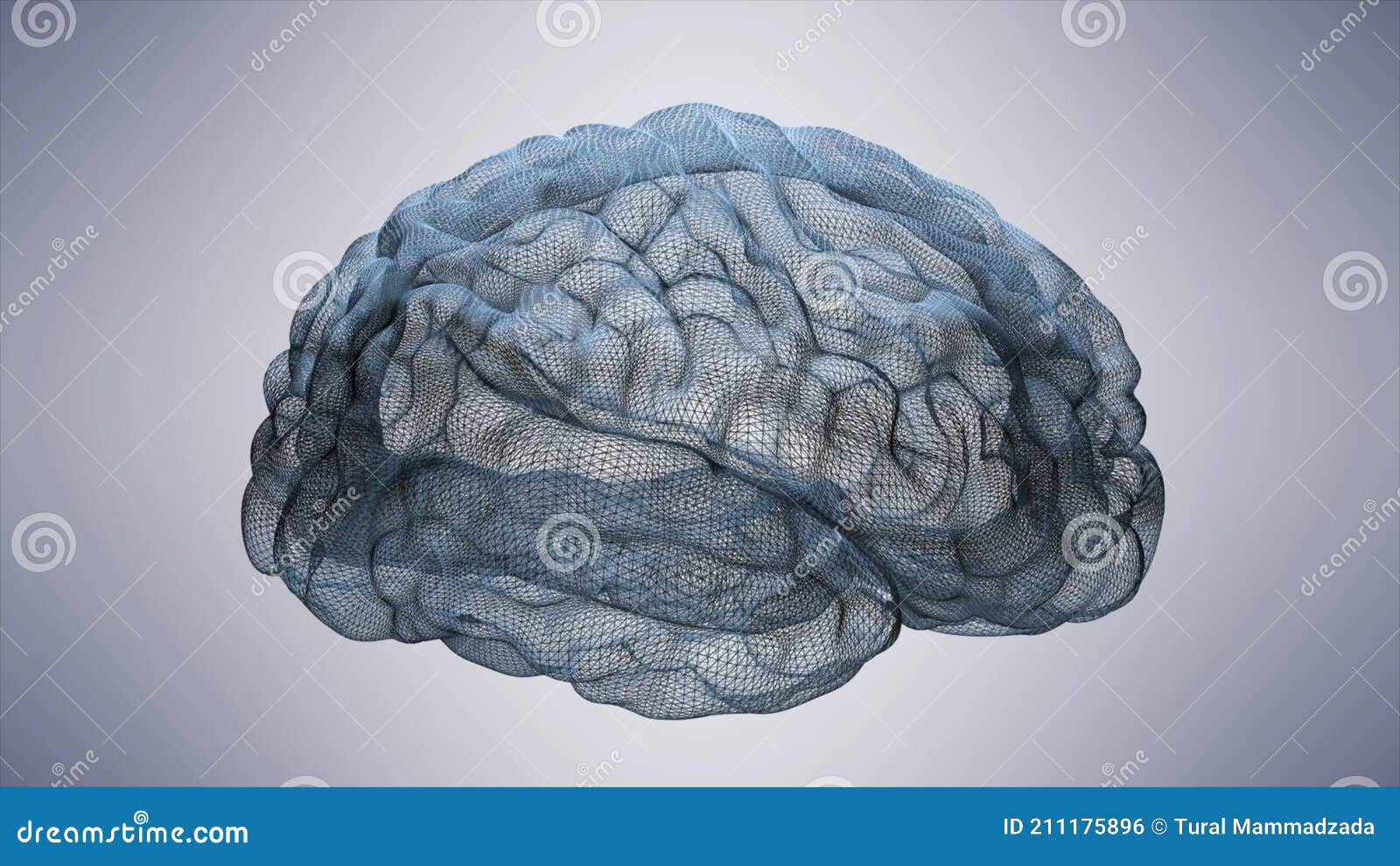 3d Rendered Illustration of Wireframe Brain Stock Illustration ...