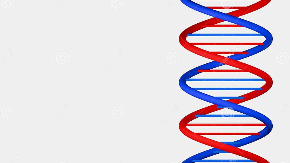 A 3D Rendered Image Showcasing a Red and Blue DNA Double Helix ...