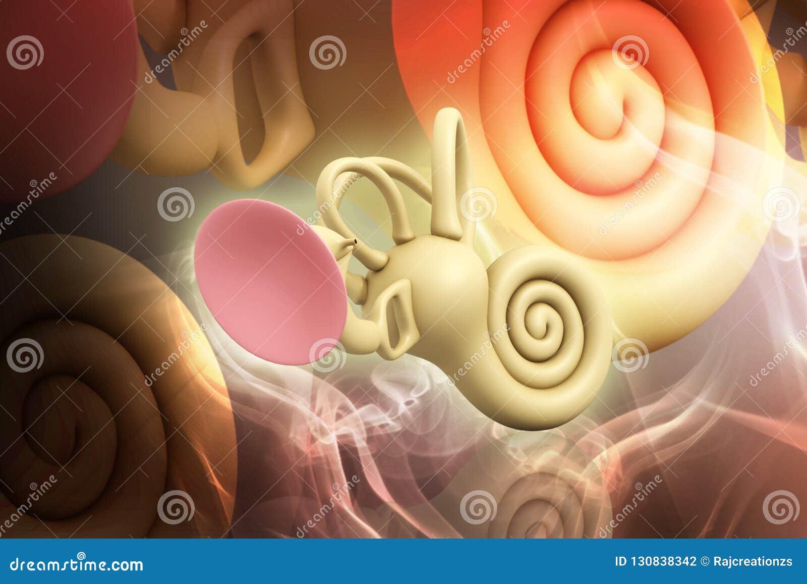 3d Rendered Inner Ear Cochlea on Color Background Stock Illustration ...