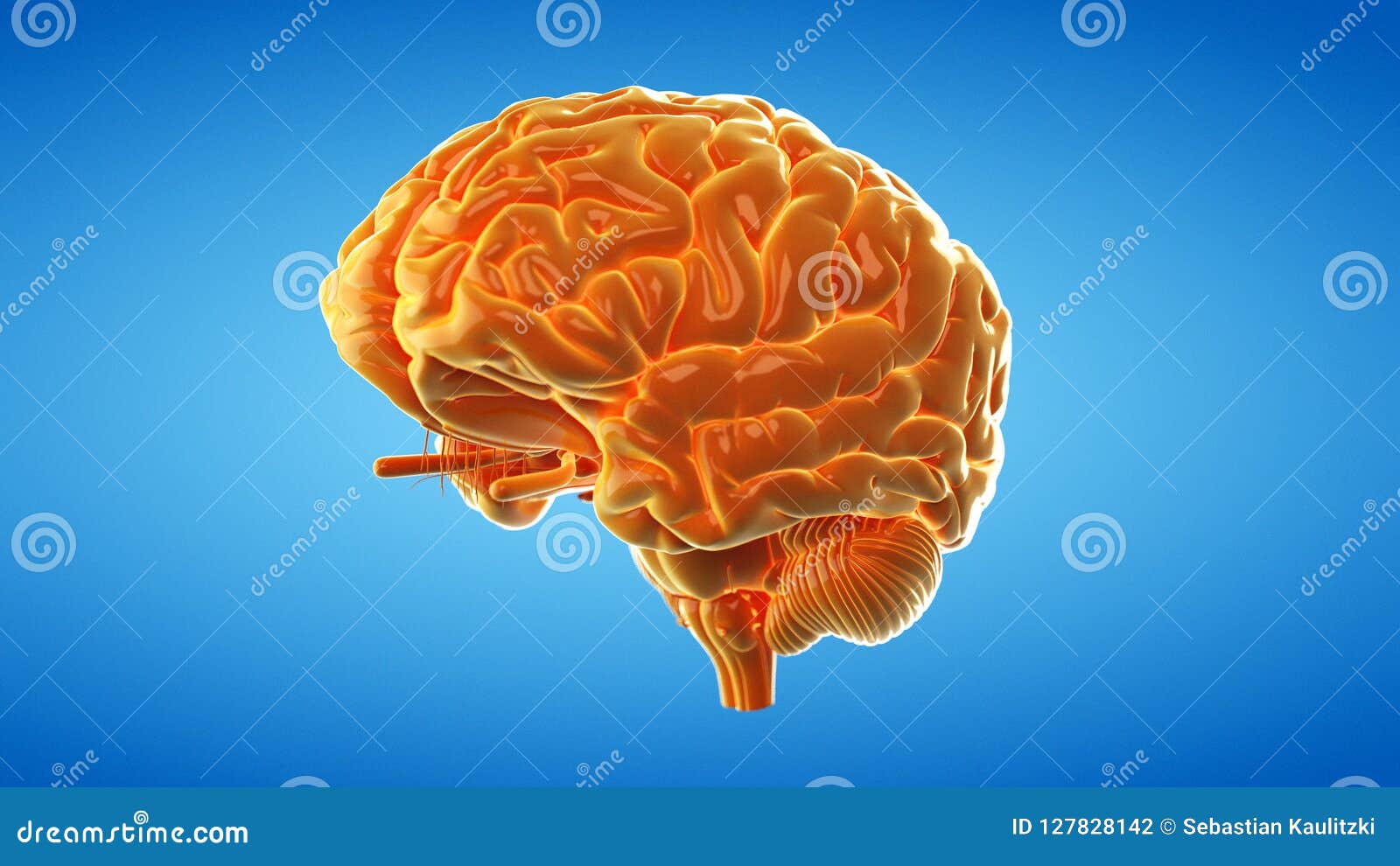 An abstract orange brain stock illustration. Illustration of cerebrum ...