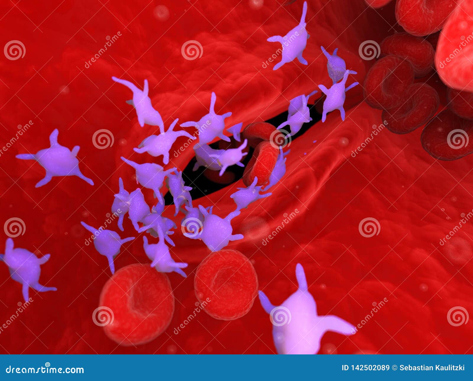 Active blood platelets stock illustration. Illustration of cytology ...