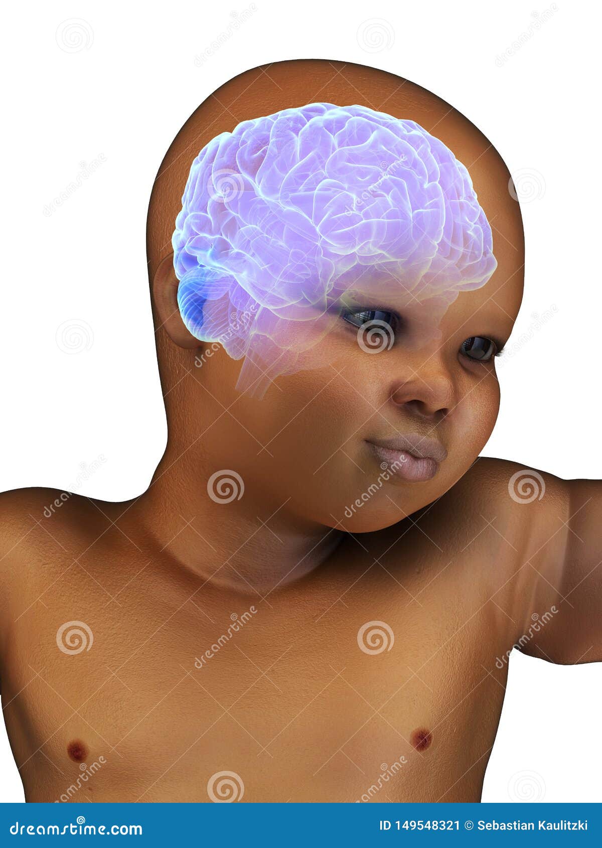 A babys brain stock illustration. Illustration of cerebral - 149548321