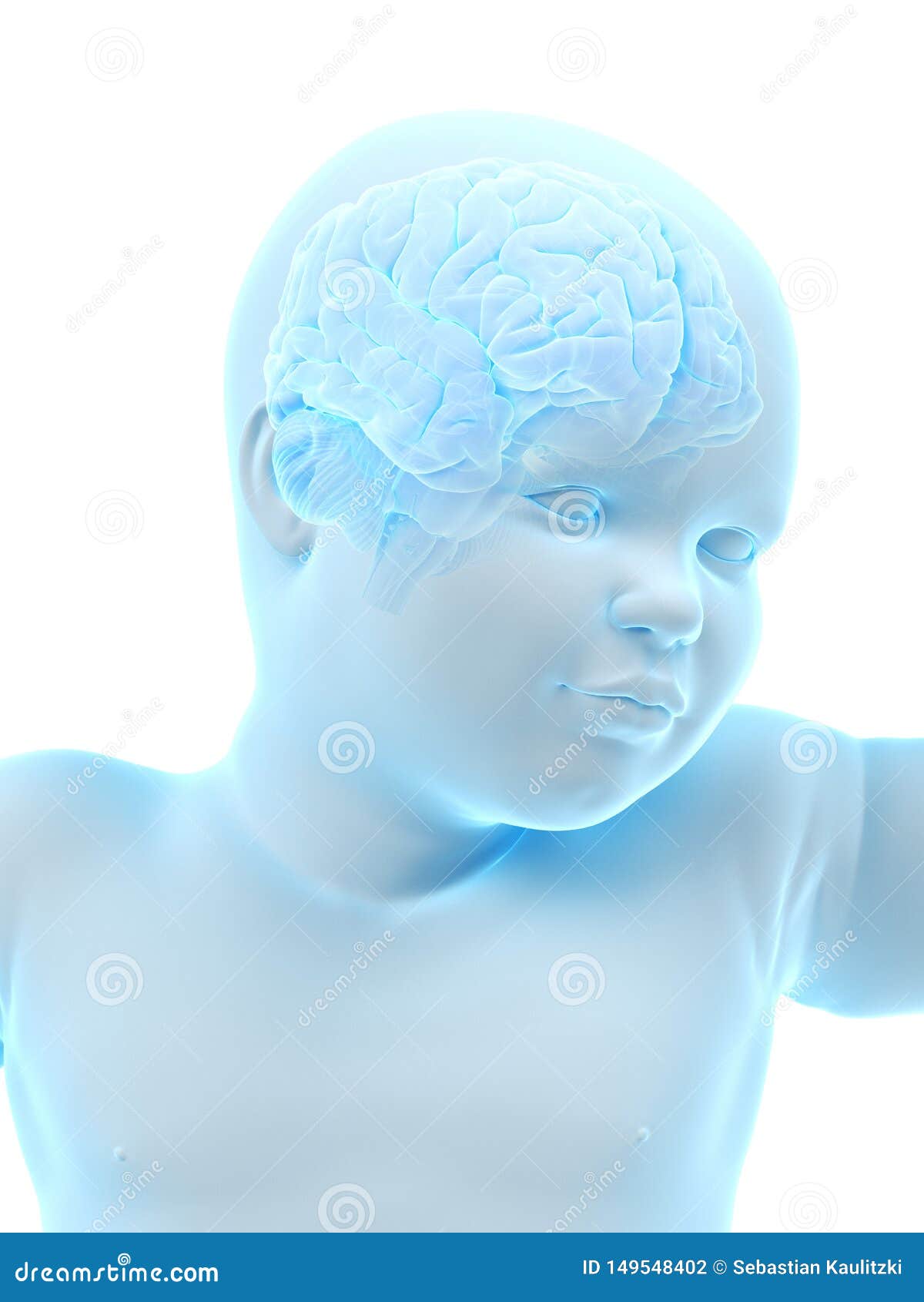 A babys brain stock illustration. Illustration of development - 149548402