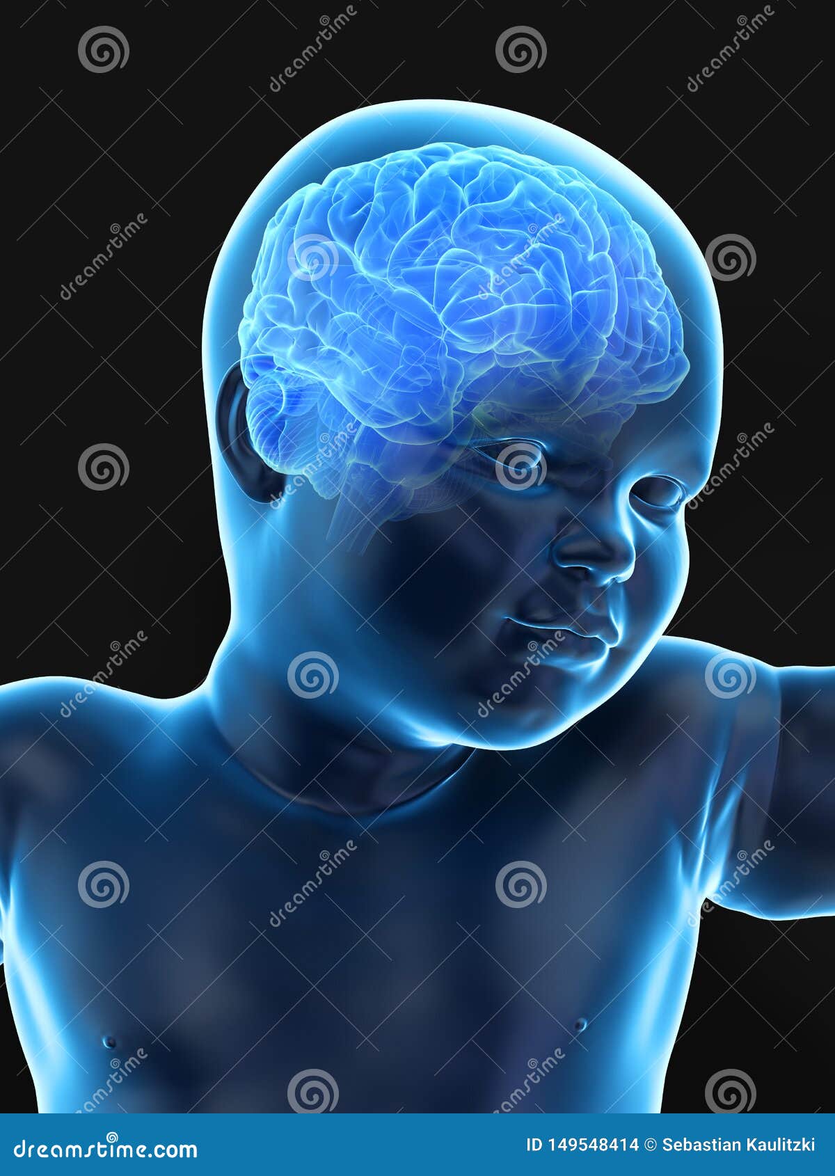 A babys brain stock illustration. Illustration of internal - 149548414