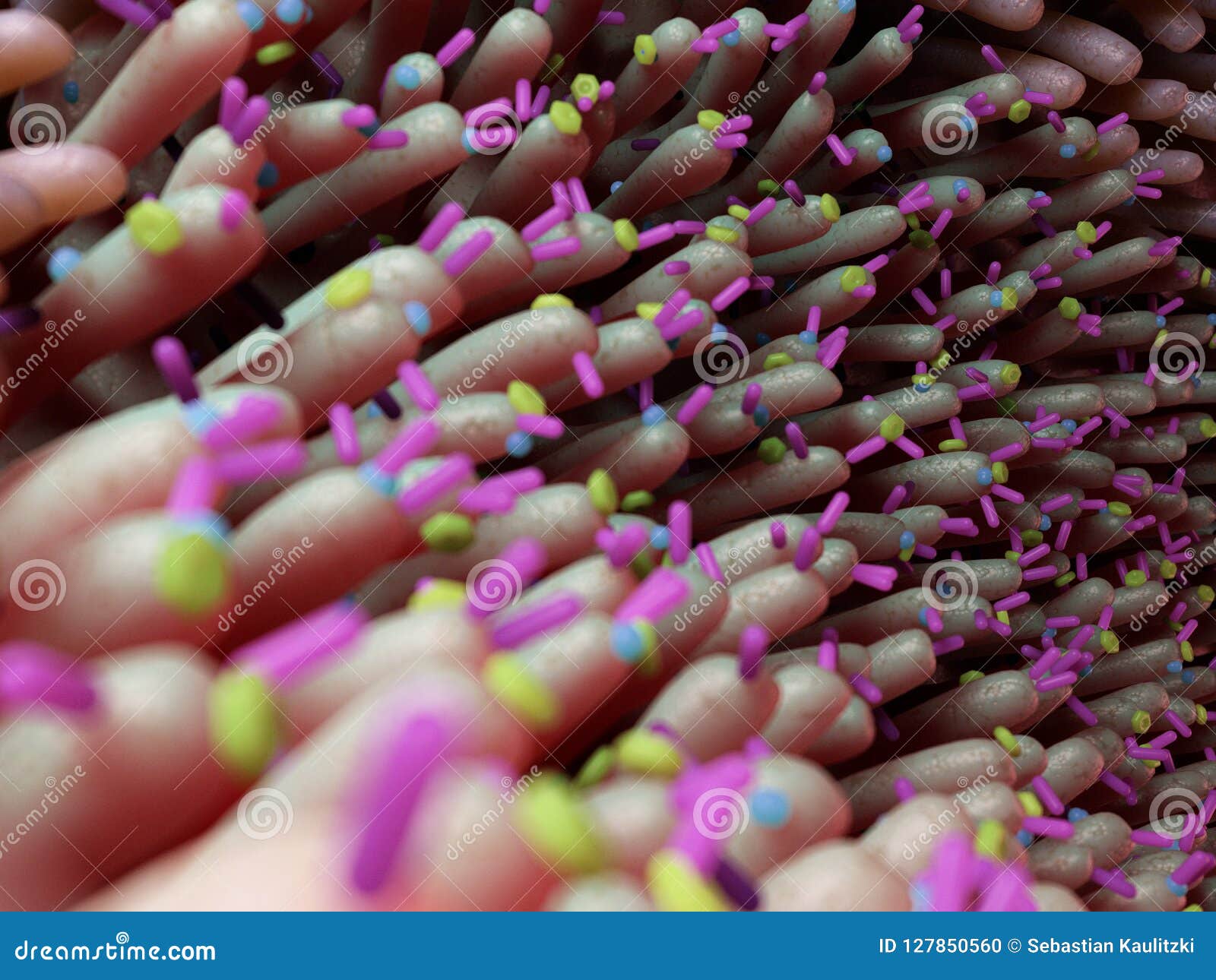 Bacteria Inside of the Intestine Stock Illustration - Illustration of ...