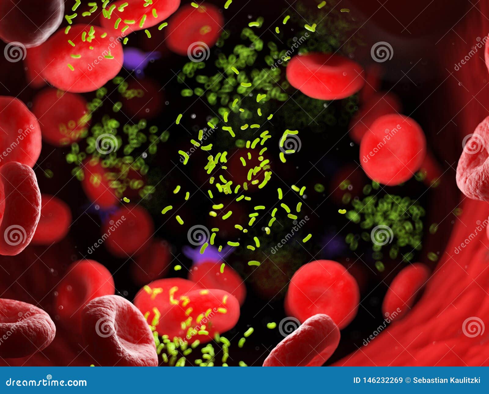 Bacterias in an artery stock illustration. Illustration of cells ...