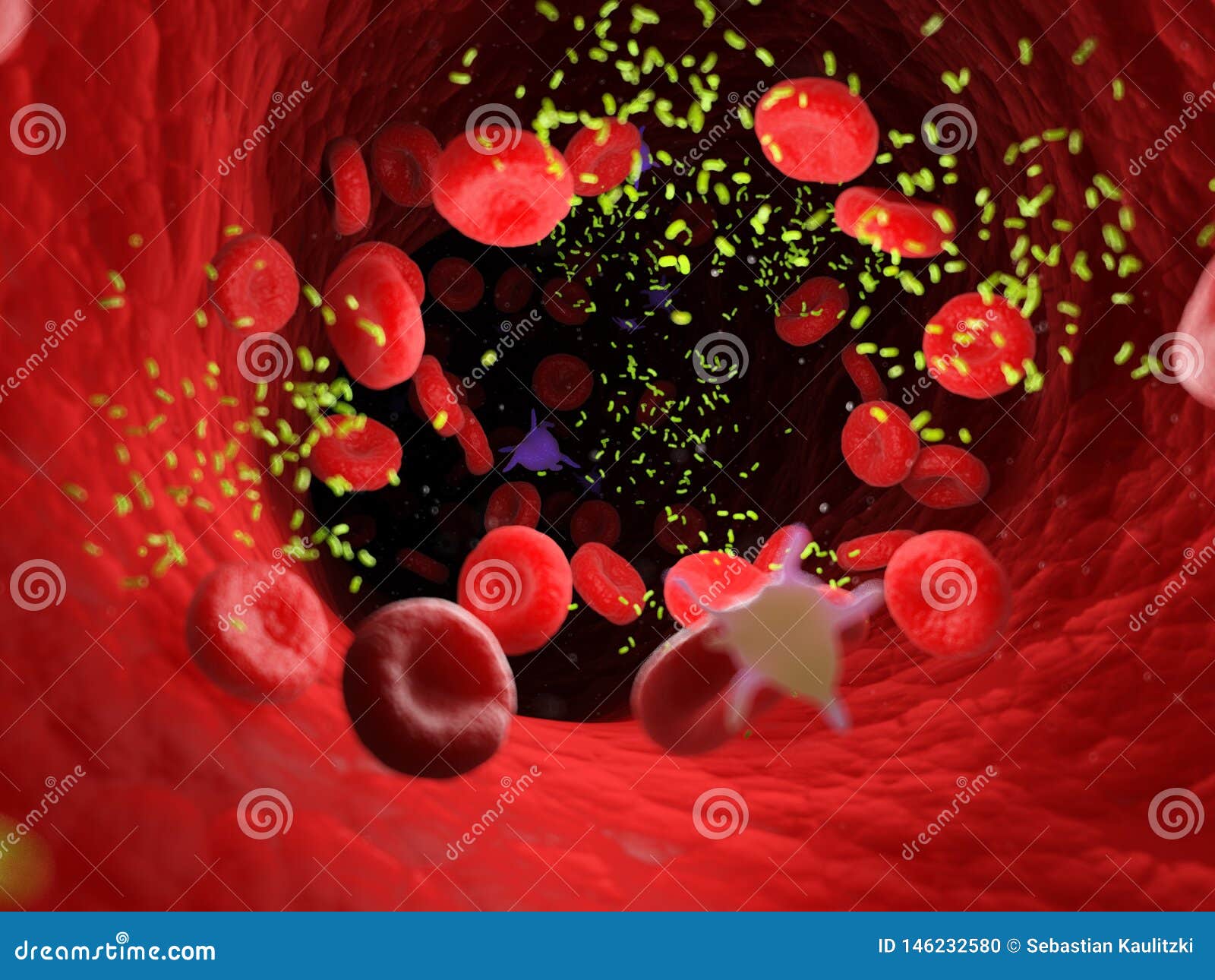 Bacterias in an artery stock illustration. Illustration of cell - 146232580