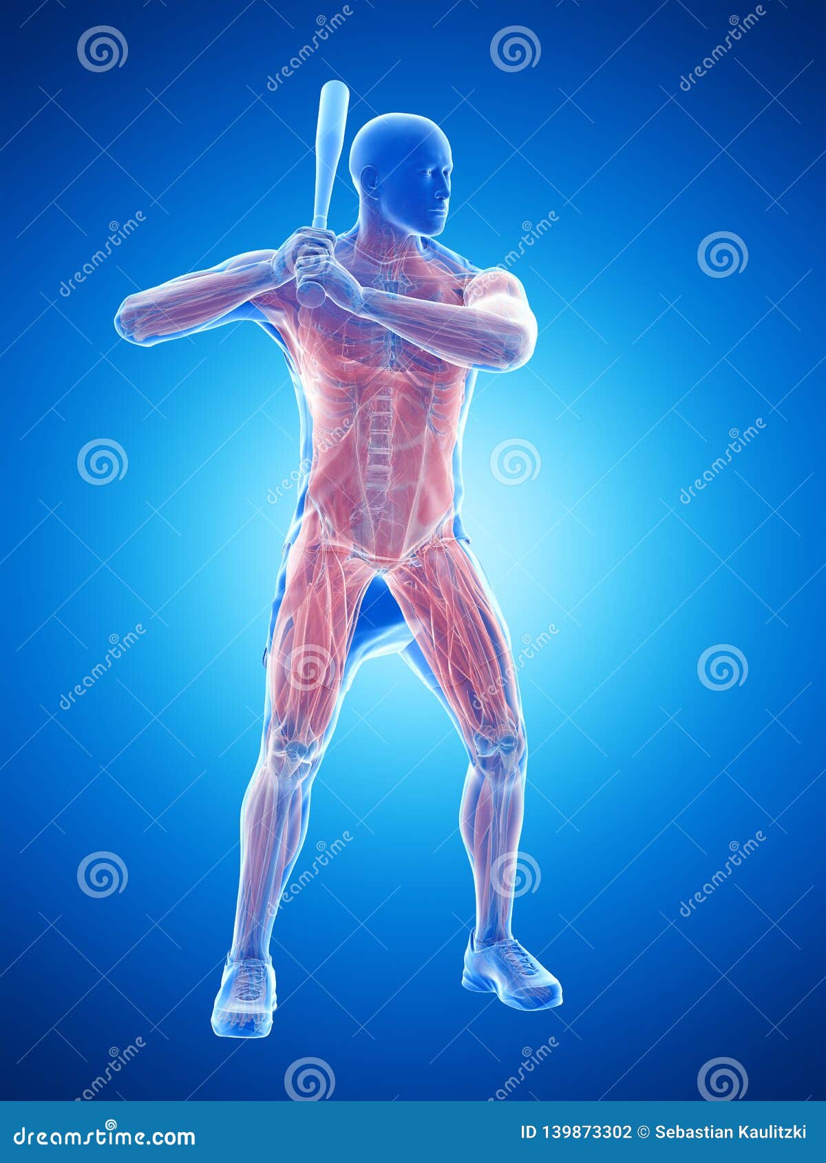 A baseball players muscles stock illustration. Illustration of culture ... A baseball players muscles stock illustration. Illustration of culture ...