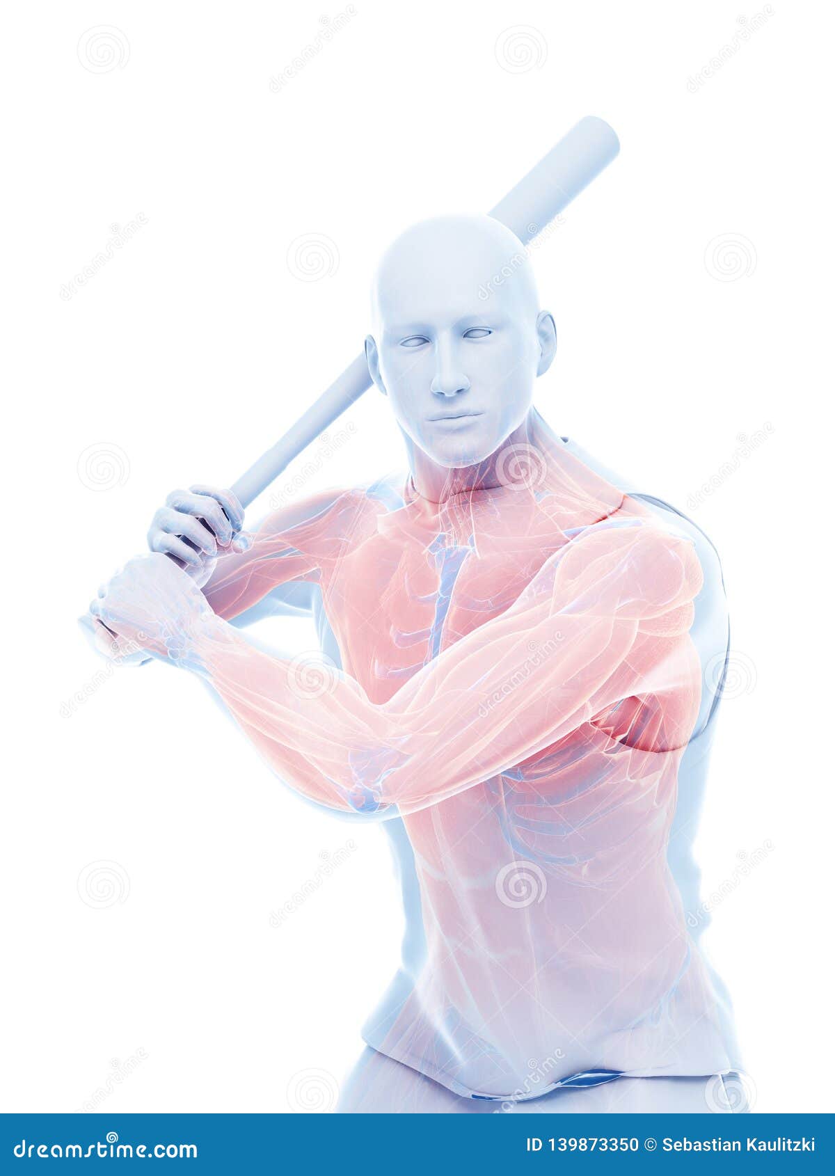 A baseball players muscles stock illustration. Illustration of muscles ... A baseball players muscles stock illustration. Illustration of muscles ...