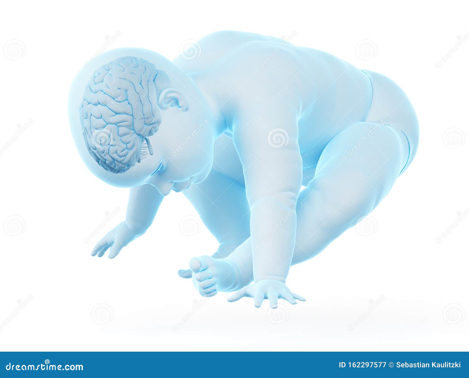 The brain of a baby stock illustration. Illustration of development ...
