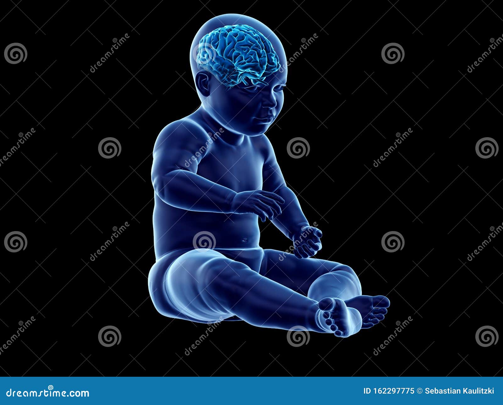 The brain of a baby stock illustration. Illustration of infant - 162297775