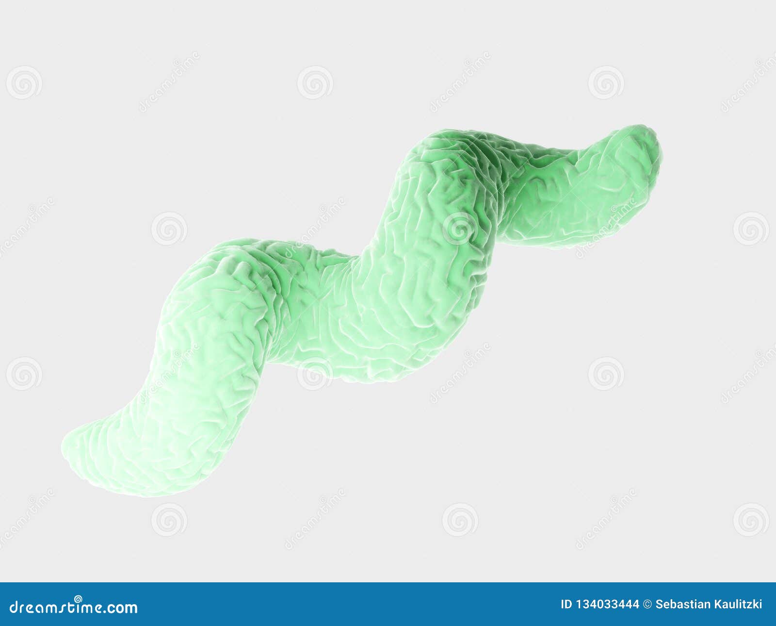 A campylobacter bacteria stock illustration. Illustration of developed ...