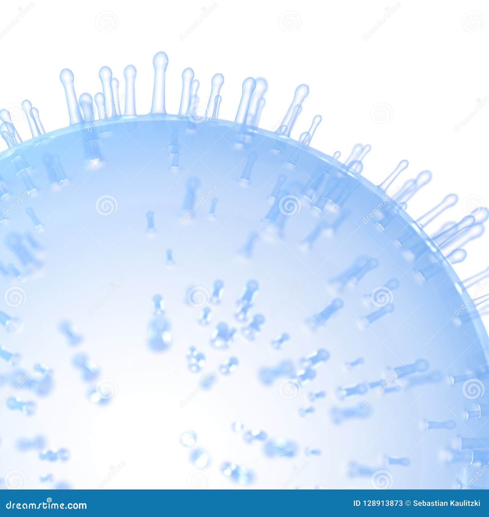 Cell Surface Layer Cartoon Vector | CartoonDealer.com #221040319