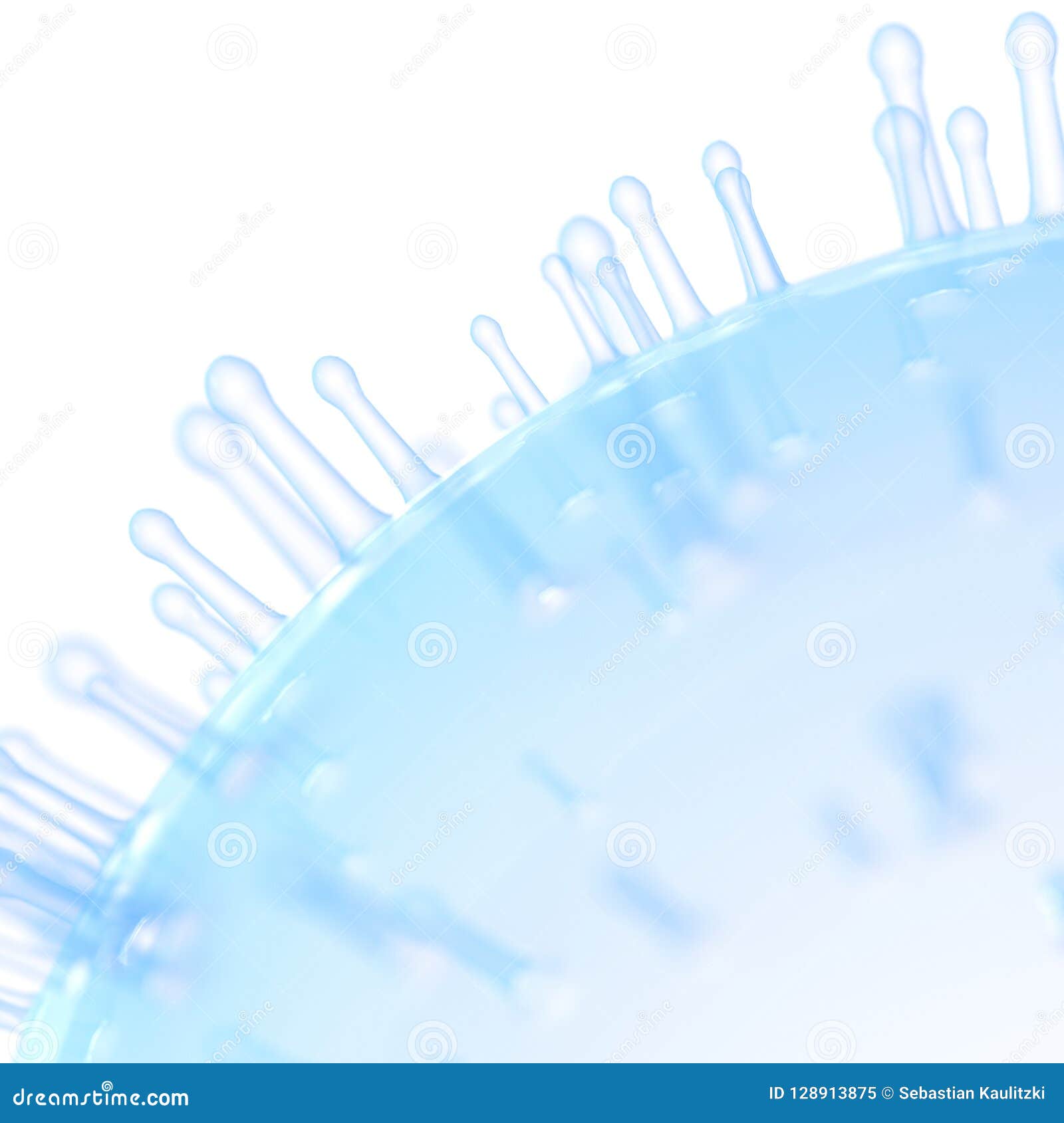 Cell Surface Layer Cartoon Vector | CartoonDealer.com #221040319