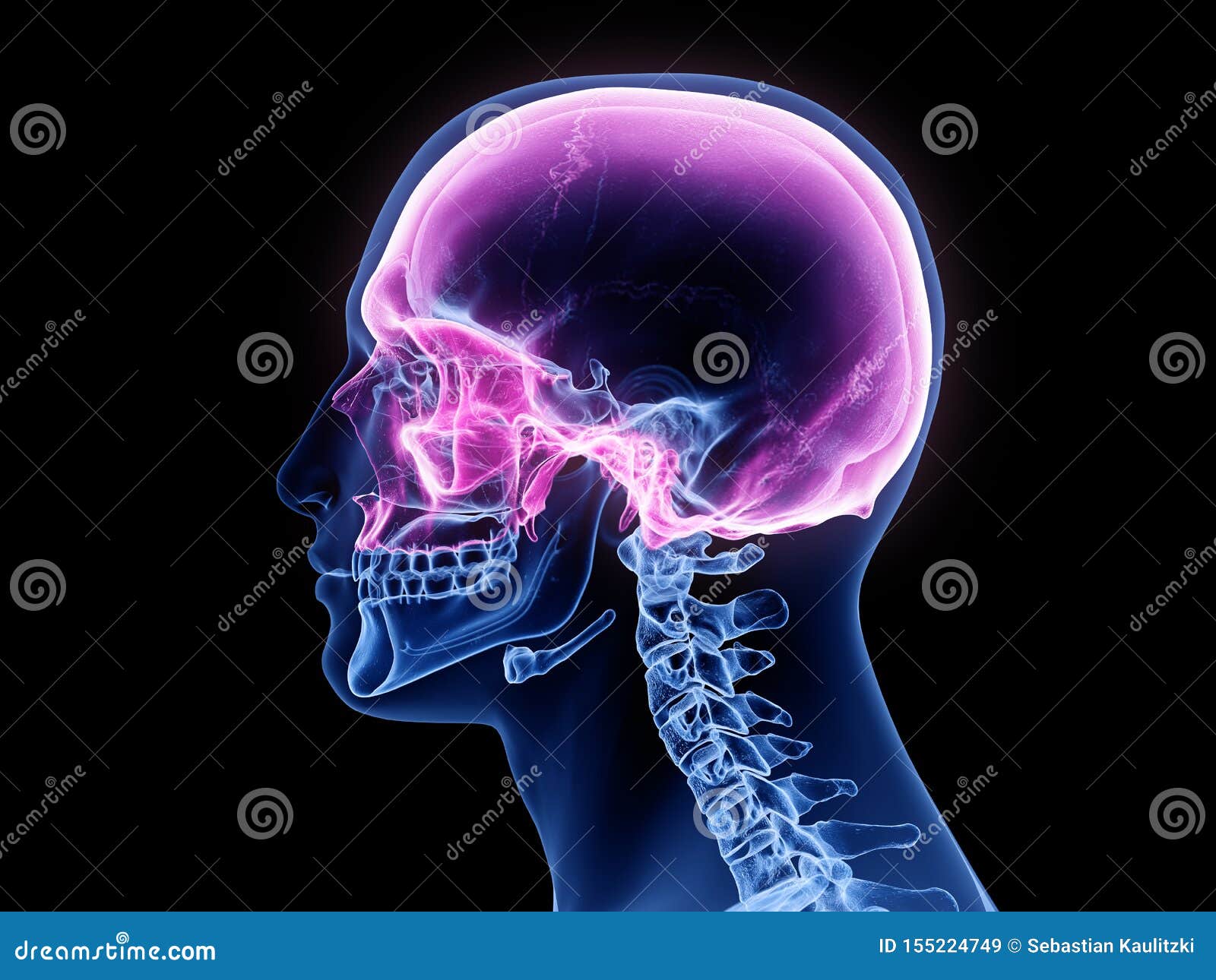 Cranium Cartoons, Illustrations & Vector Stock Images - 3371 Pictures ...