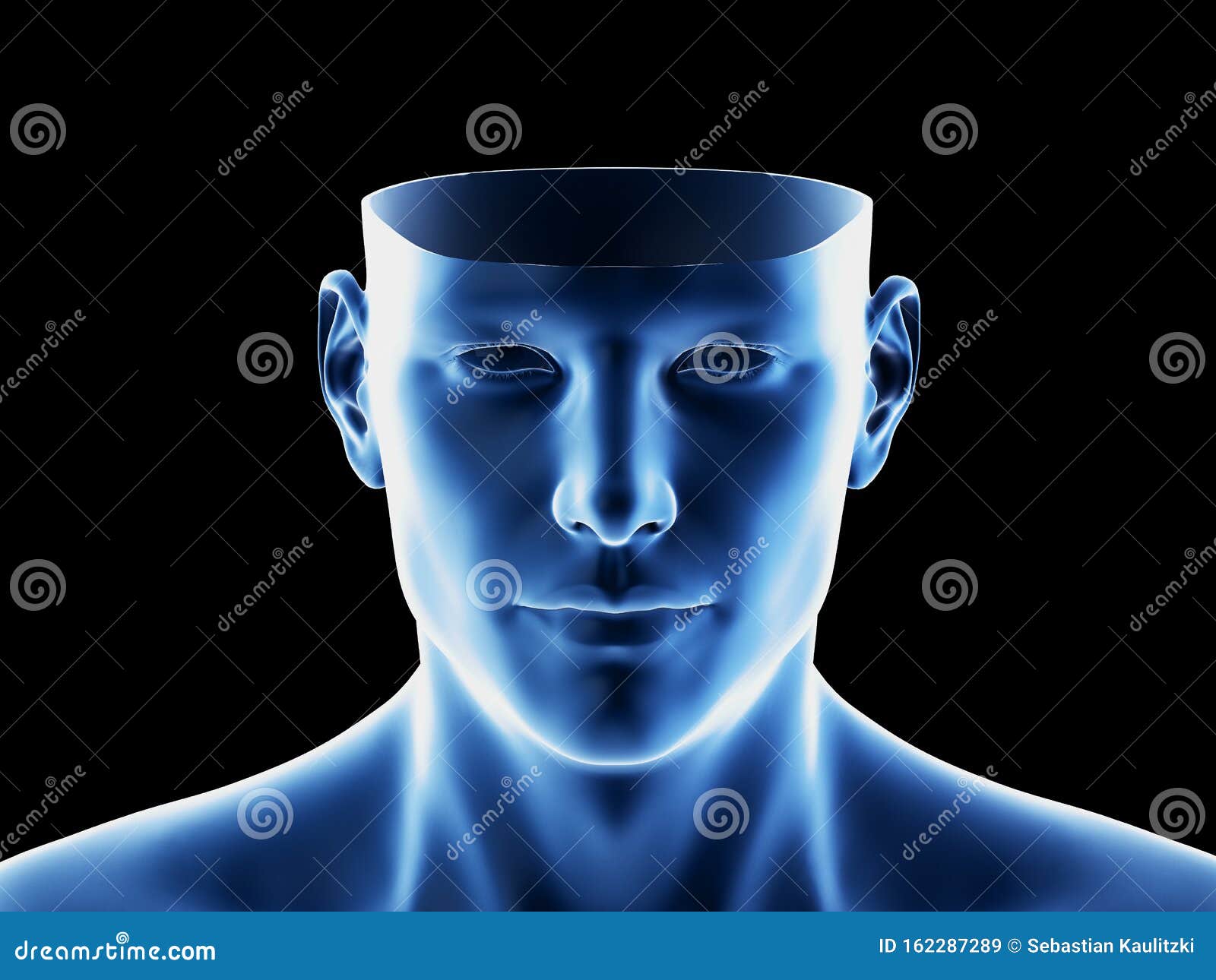 A cut open head stock illustration. Illustration of medical - 162287289