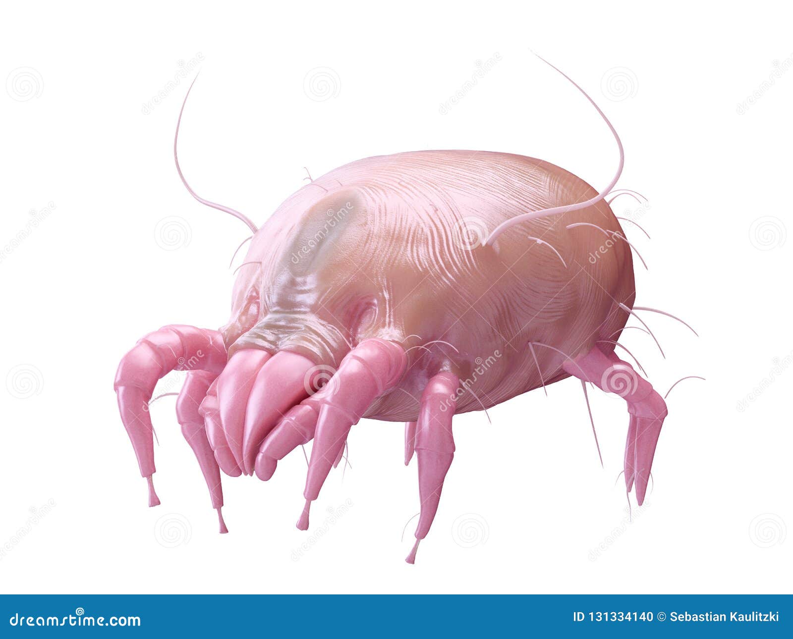 A dust mite stock illustration. Illustration of acarian - 131334140
